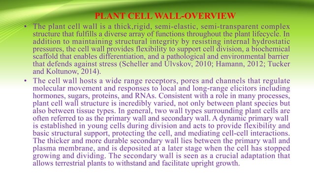 Cell wall | PPT