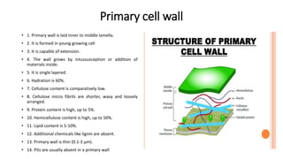 Cell Wall.pptx