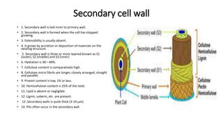 Cell Wall.pptx