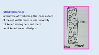CELL WALL.pptx