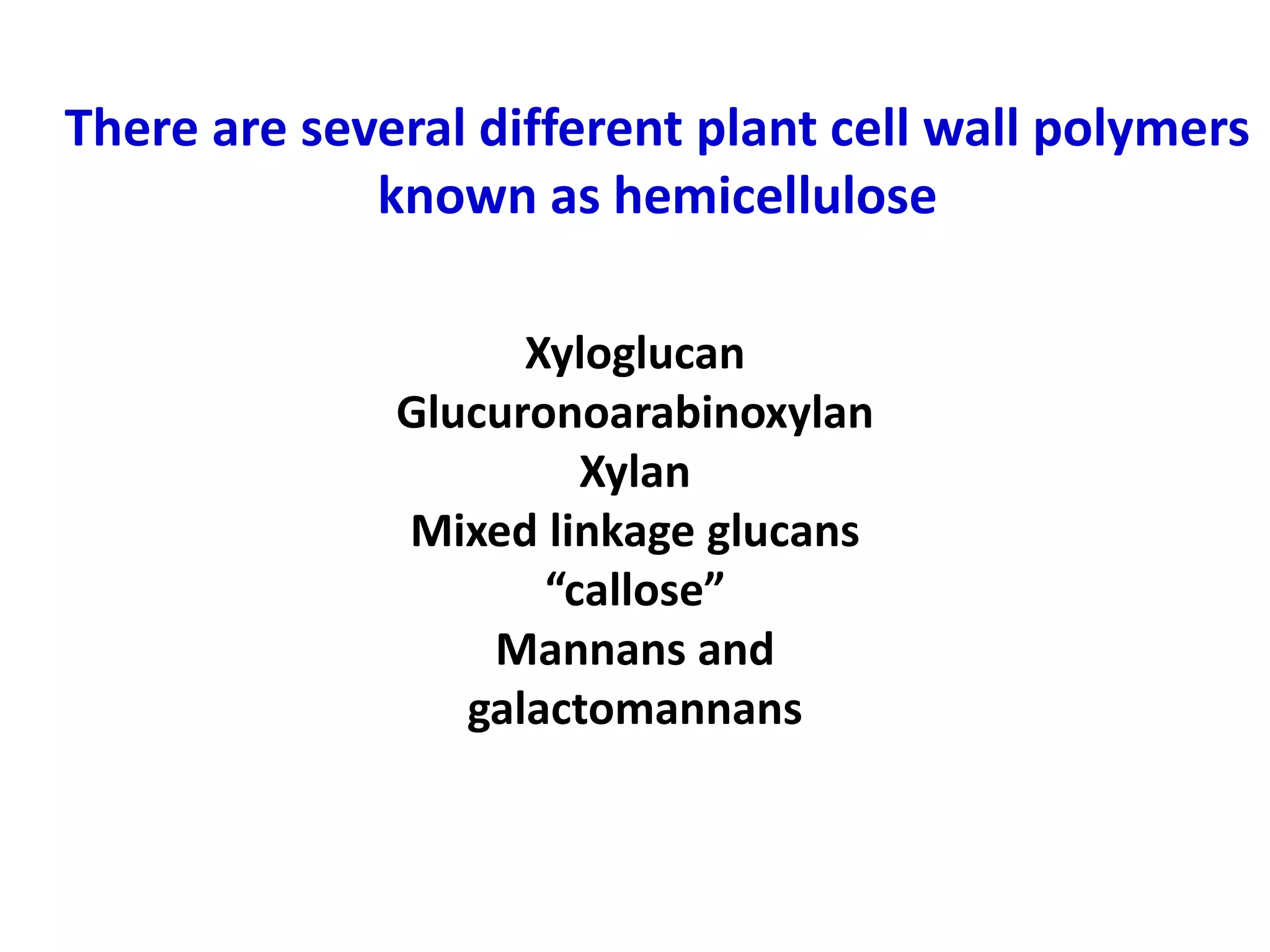Cell wall.ppt