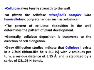 Cell wall.ppt