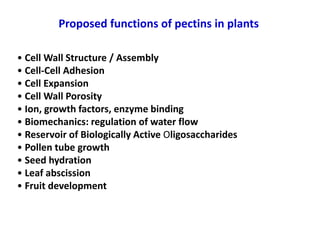 Cell wall.ppt