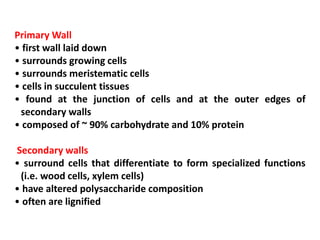 Cell wall.ppt