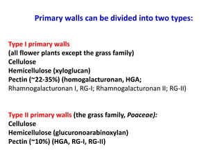 Cell wall.ppt