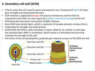 Cell wall is a part of cell structure that covers it from outside | PDF