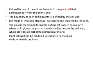 Cell wall is a part of cell structure that covers it from outside | PPT