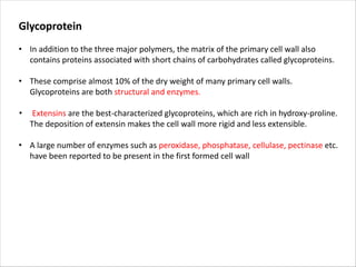 Cell wall is a part of cell structure that covers it from outside | PDF