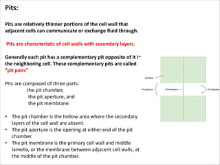 Cell wall is a part of cell structure that covers it from outside | PPT