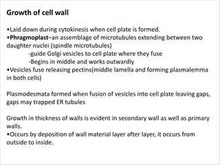 Cell wall is a part of cell structure that covers it from outside | PPT