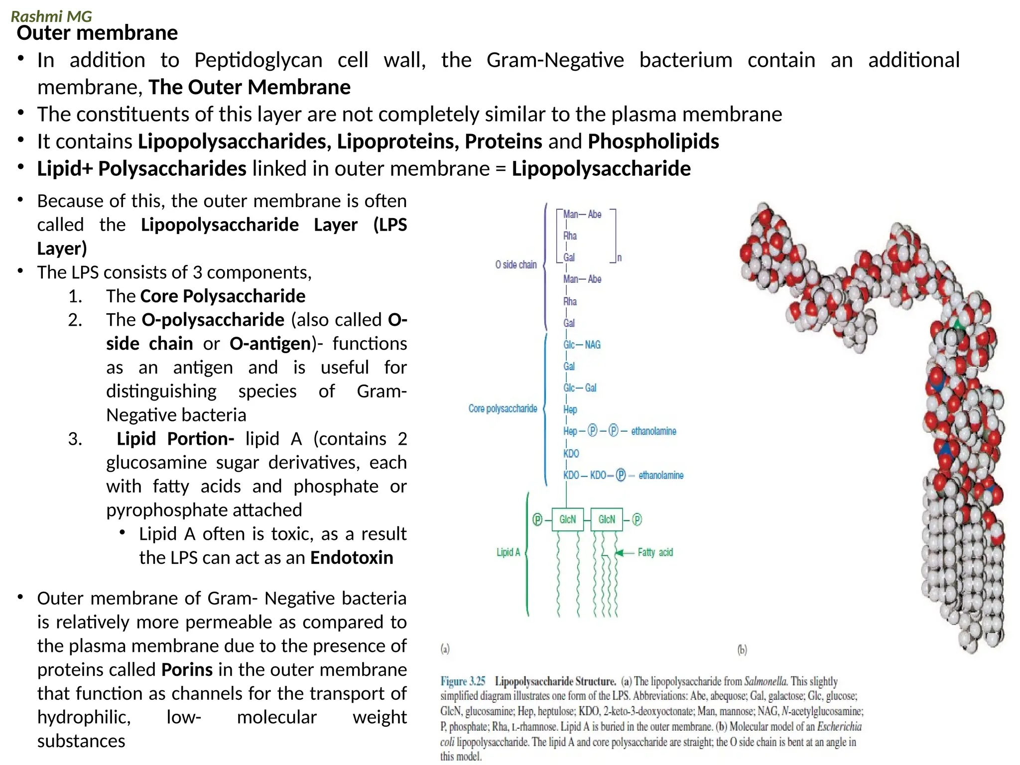 Cell wall of prokaryotic cell and eukaryotic cell.pptx