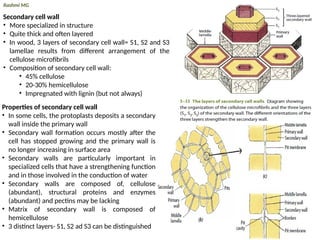 Cell wall of prokaryotic cell and eukaryotic cell.pptx