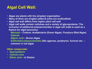 Cell Wall-I.ppt