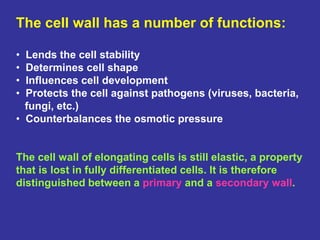 Cell Wall-I.ppt