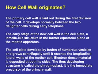 Cell Wall-I.ppt
