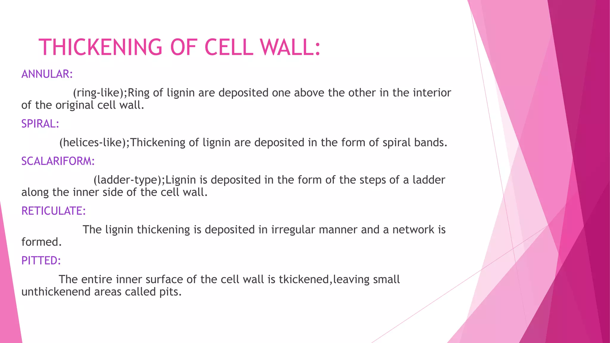Cell wall | structure composition and Functions | PPTX