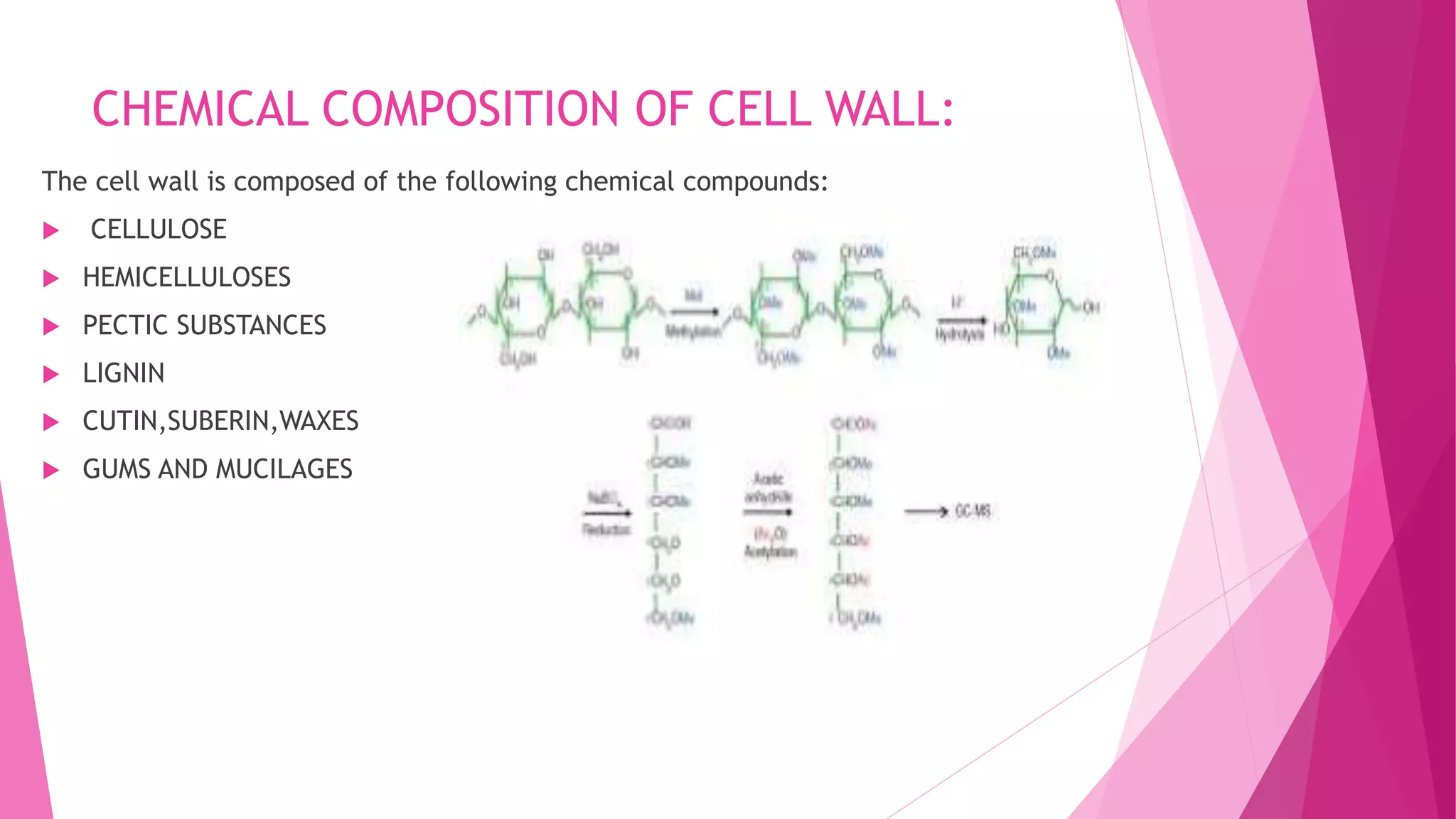 Cell wall | structure composition and Functions | PPTX
