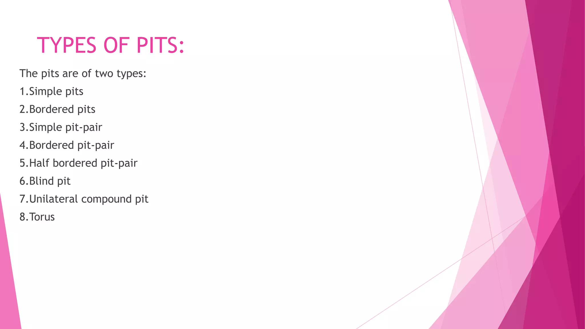Cell wall | structure composition and Functions | PPTX