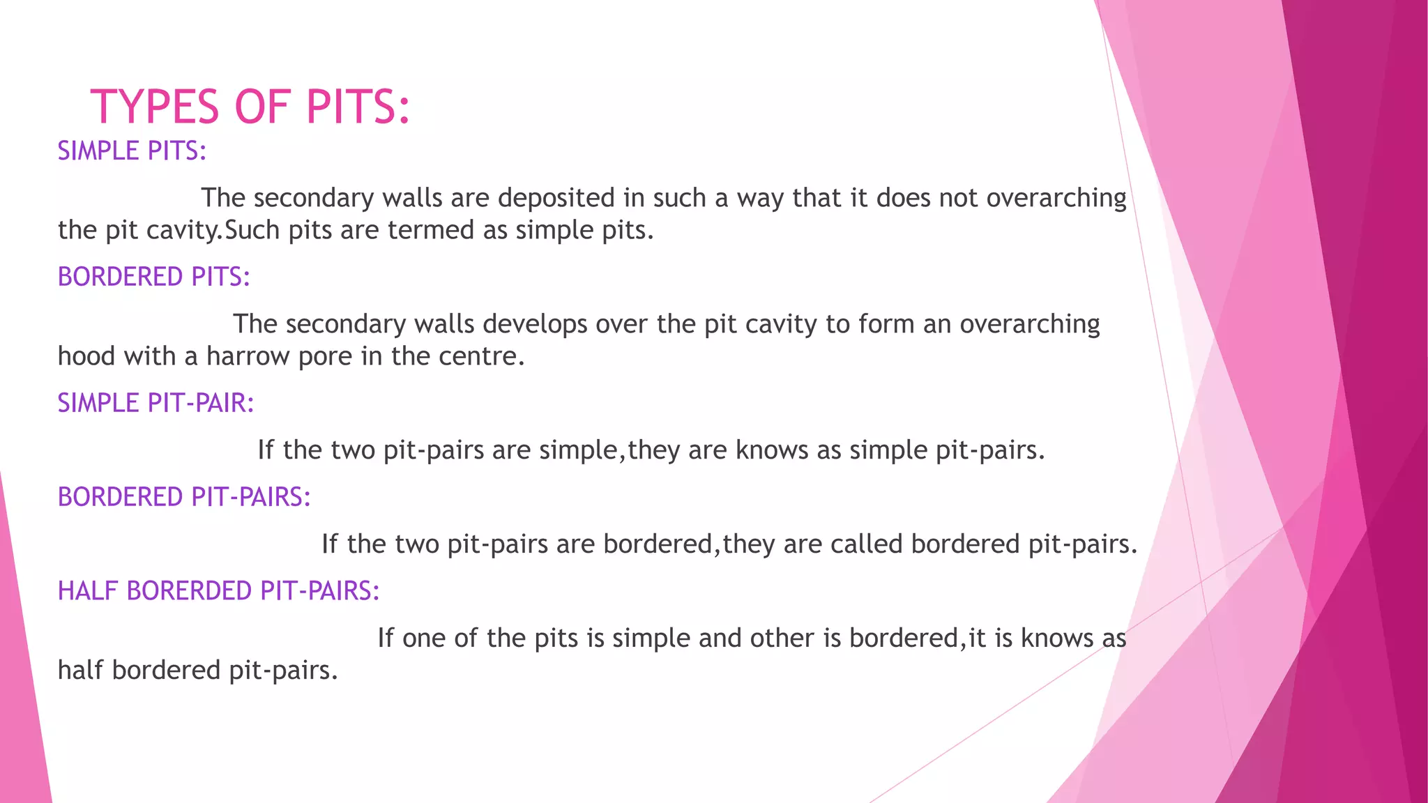 Cell wall | structure composition and Functions | PPTX
