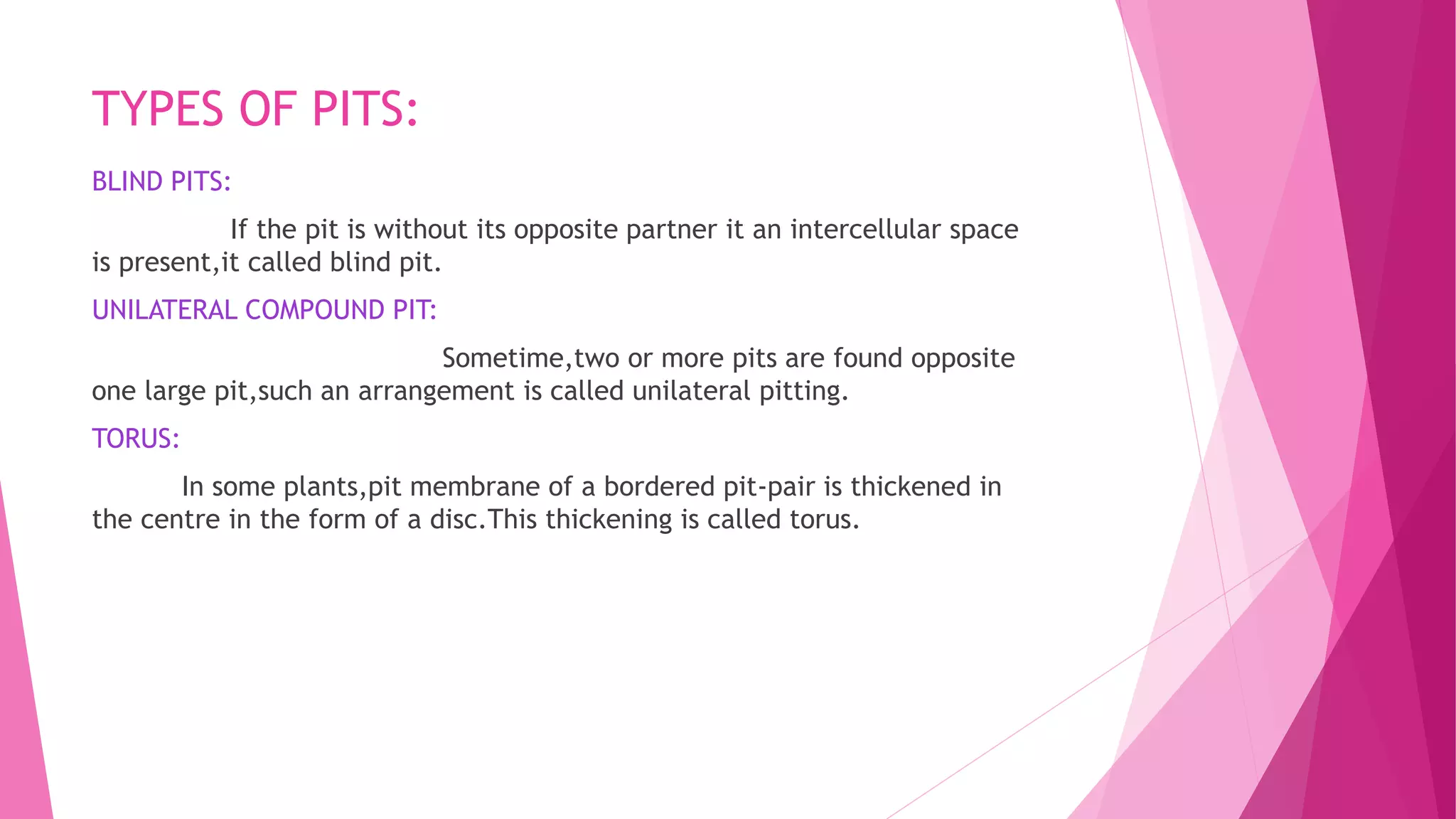 Cell wall | structure composition and Functions | PPTX