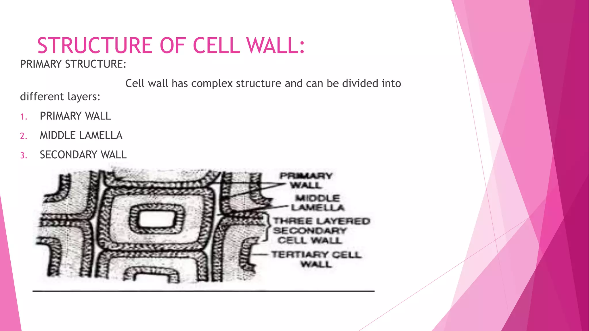 Cell wall | structure composition and Functions | PPTX