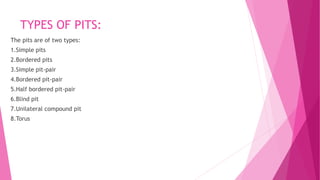 Cell wall | structure composition and Functions | PPTX