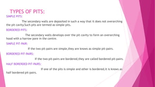 Cell wall | structure composition and Functions | PPTX