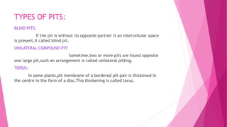 Cell wall | structure composition and Functions | PPT