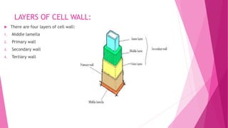 Cell wall | structure composition and Functions | PPTX