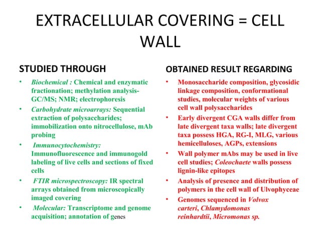 Cell Wall Algae Ppt