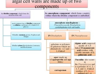 Algal Cell Wall
