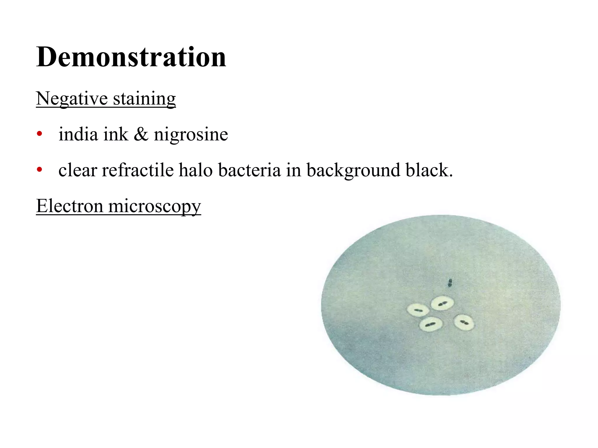 Cell wall appendages | PPTX