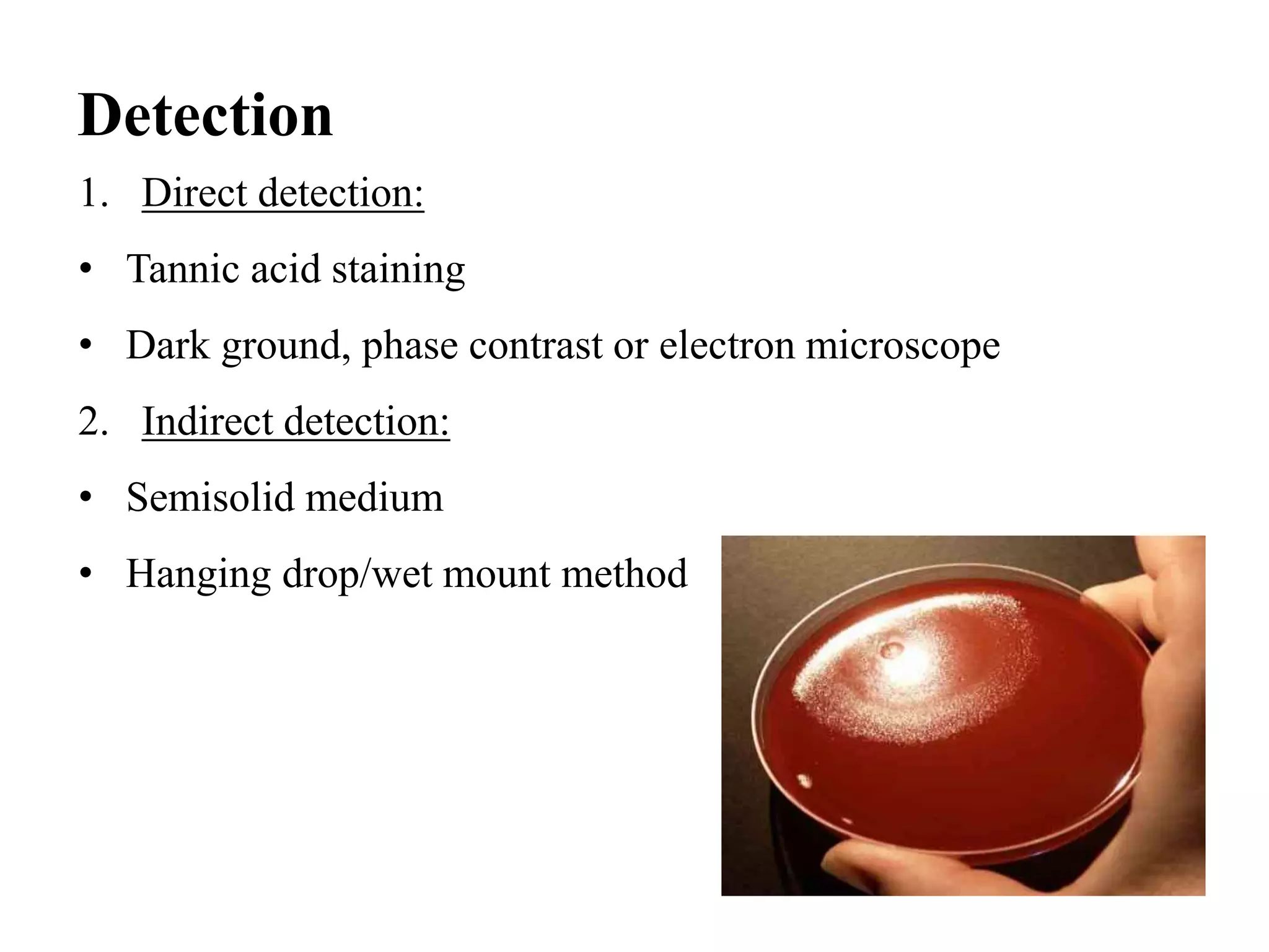 Cell wall appendages | PPTX
