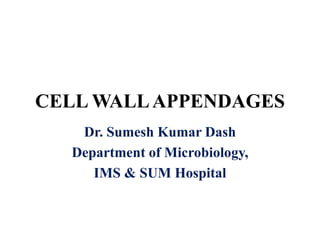 Cell wall appendages | PPTX