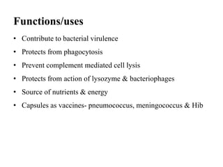 Cell wall appendages | PPTX