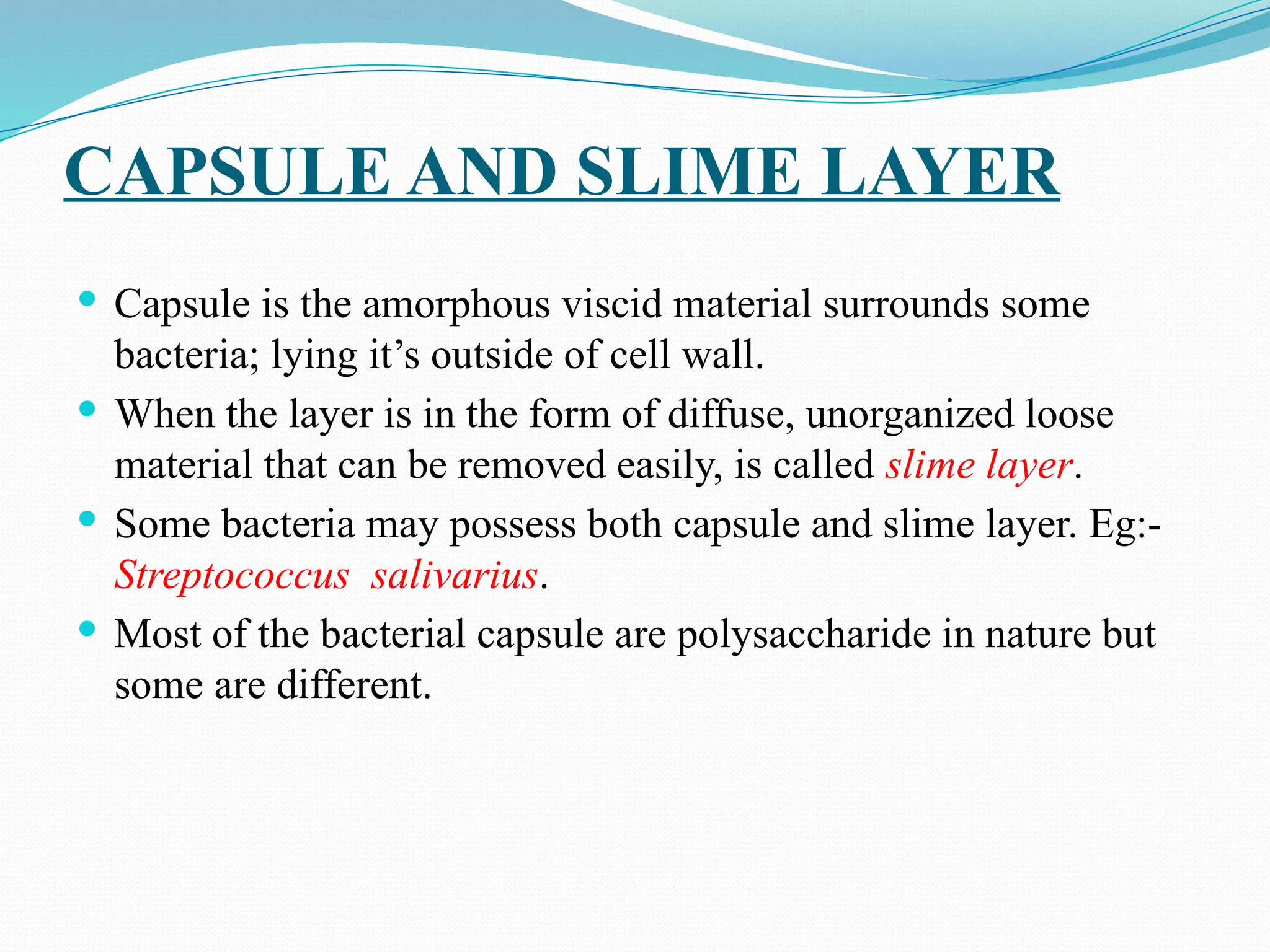 CELL WALL APPENDAGES.pptx of microbiology | PPTX