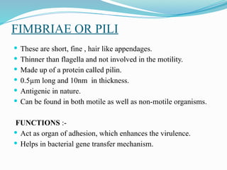 CELL WALL APPENDAGES.pptx of microbiology | PPTX