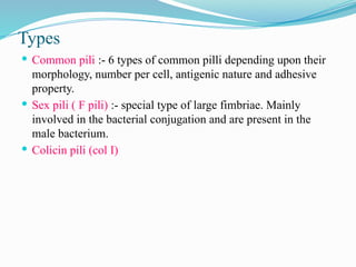 CELL WALL APPENDAGES.pptx of microbiology | PPT