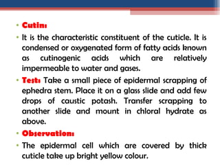 Cell wall composition and cell inclusions - Dr.U.Srinivasa, Professor ...