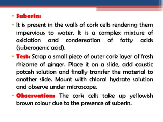 Cell wall composition and cell inclusions - Dr.U.Srinivasa, Professor ...