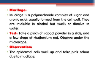 Cell wall composition and cell inclusions - Dr.U.Srinivasa, Professor ...
