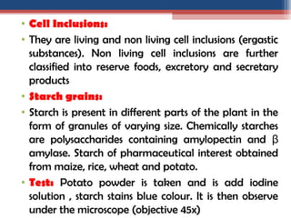 Cell wall composition and cell inclusions - Dr.U.Srinivasa, Professor ...