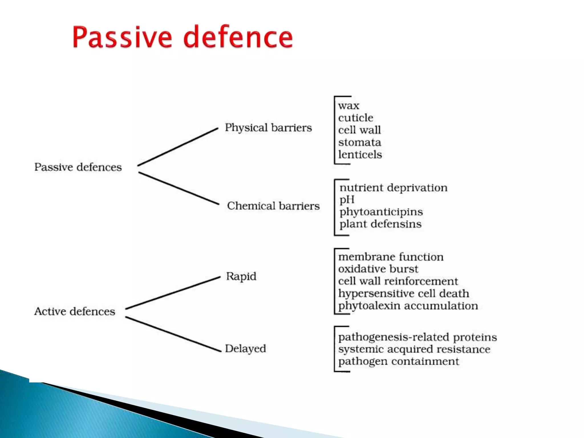 Plant Cell wall and its role in defense mechanism | PPTX