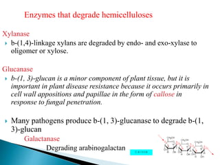 Plant Cell wall and its role in defense mechanism | PPTX