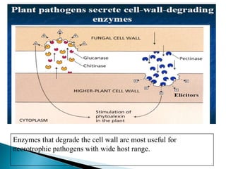 Plant Cell wall and its role in defense mechanism | PPTX