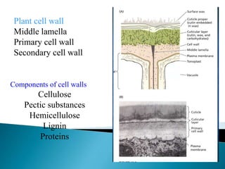 Plant Cell wall and its role in defense mechanism | PPTX