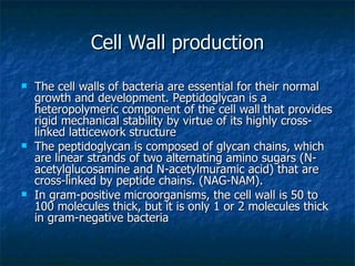 Cell Wall Inhibitors | PPT