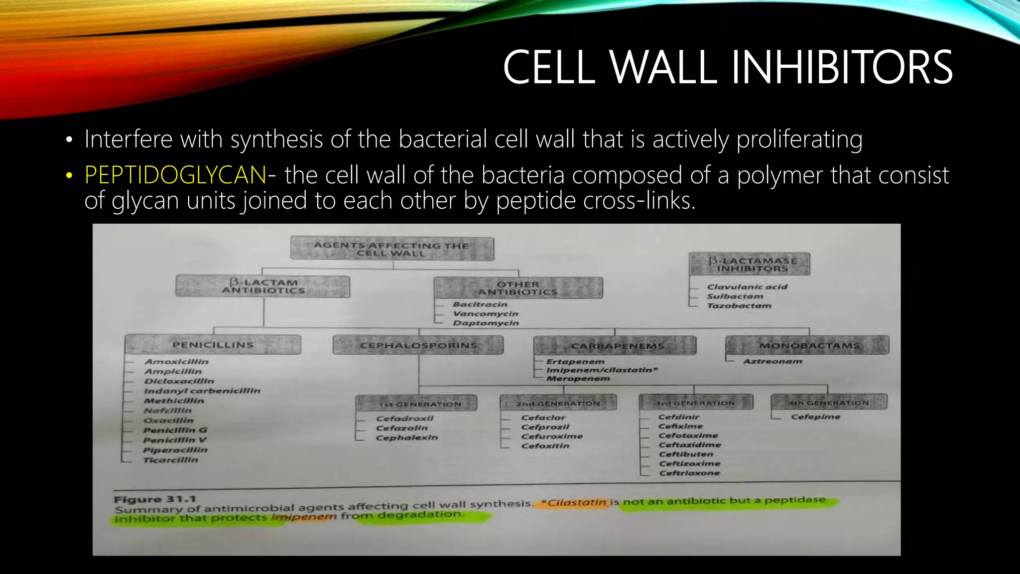 Cell wall inhibitors | PPTX