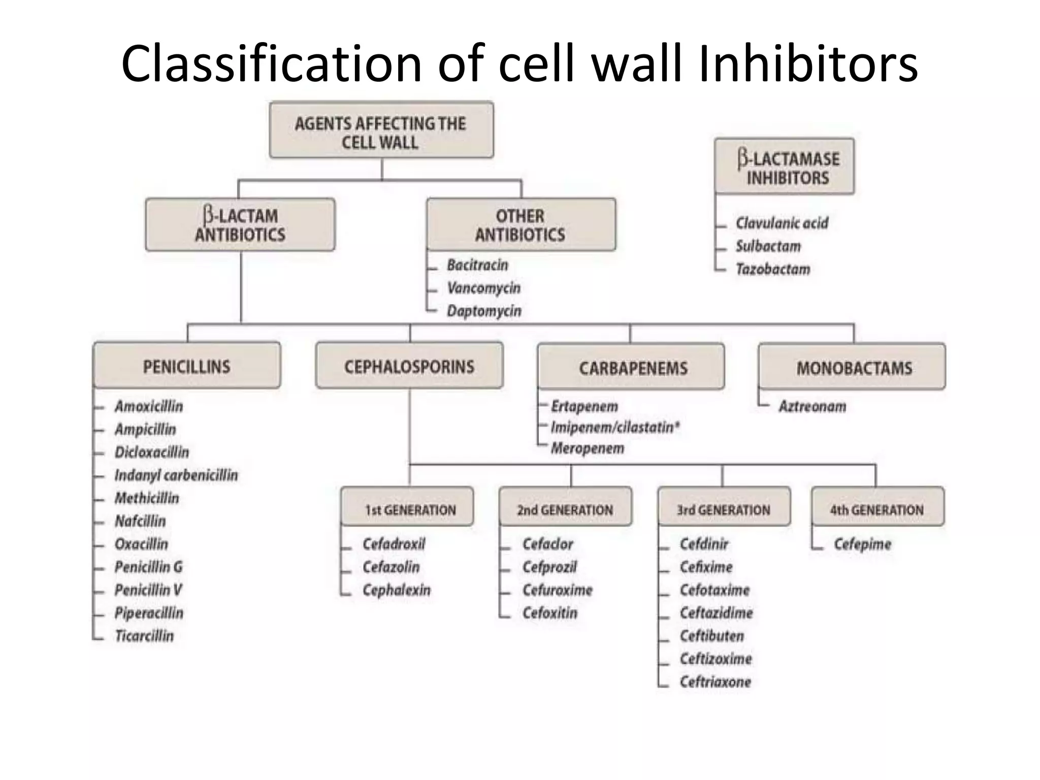 Cell wall inhibitors | PPTX