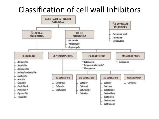 Cell wall inhibitors